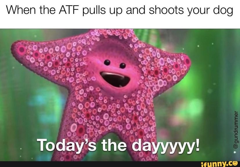 When the ATF pulls up and shoots your dog Today's the dayyyyy! - iFunny