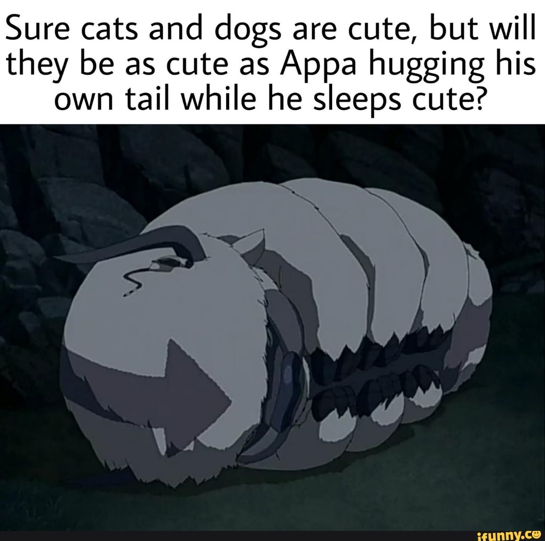 Sure cats and dogs are cute, but will they be as cute as Appa hugging ...