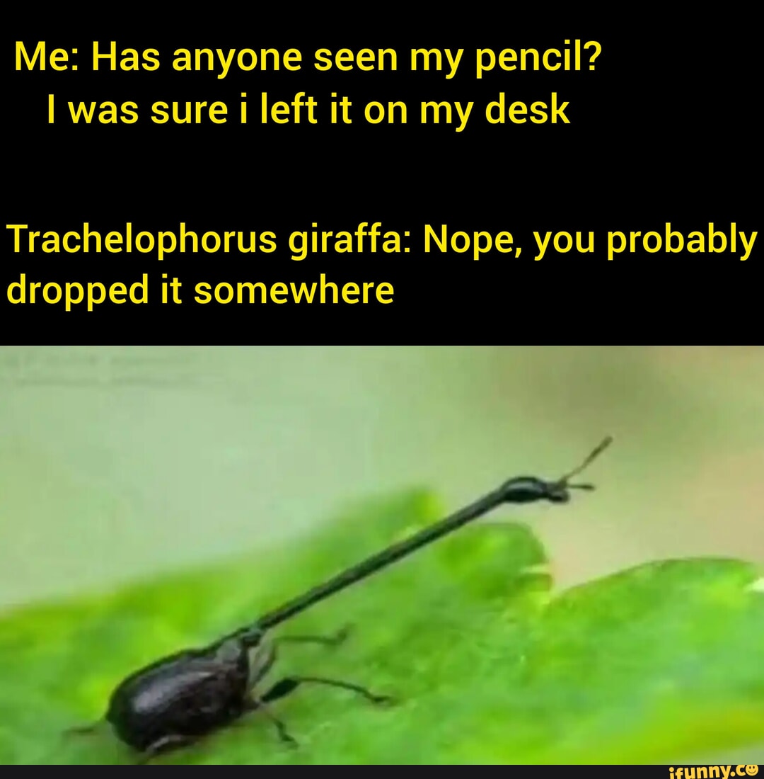 Funny Memes For Him
