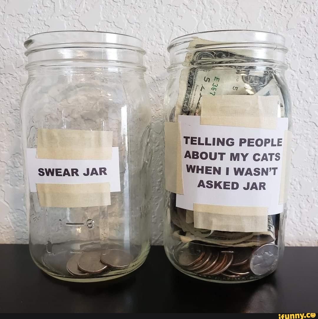TELLING PEOPLE I ABOUT MY CATS SWEAR JAR II WHEN I WASN'T I ASKED JAR ...