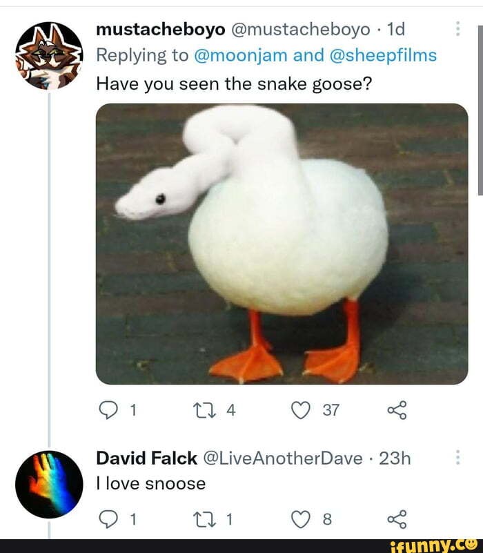 Mustacheboyo @mustacheboyo Replying to @moonjam and @sheepfilms Have ...