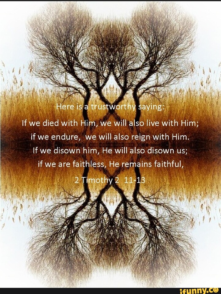 Disown memes. Best Collection of funny Disown pictures on iFunny