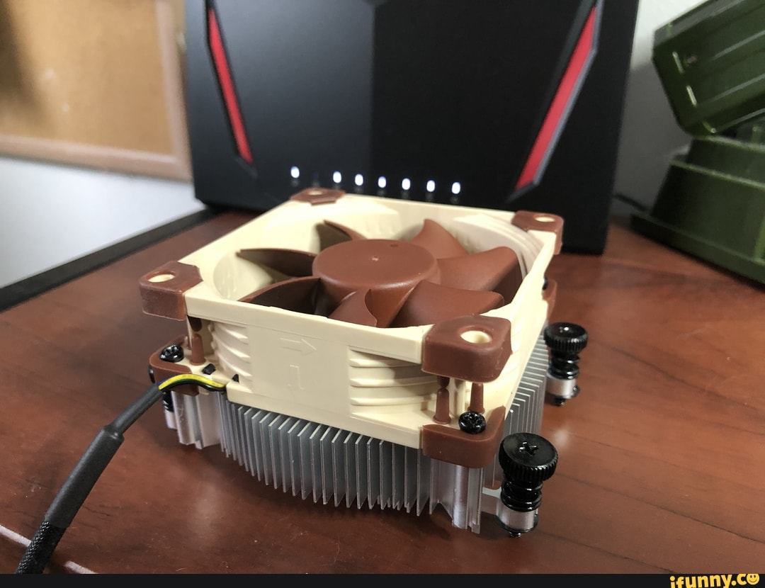 Noctua memes. Best Collection of funny Noctua pictures on iFunny