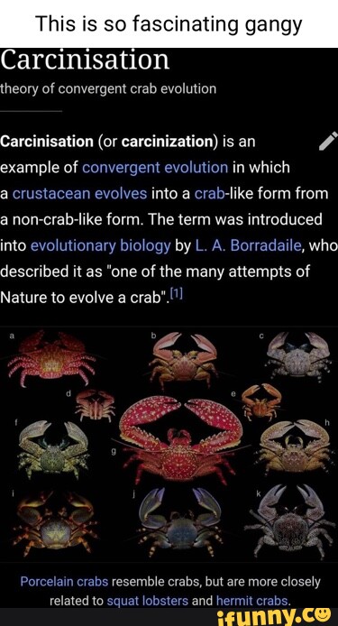 This is so fascinating gangy Carcinisation theory of convergent crab evolution Carcinisation (or ...