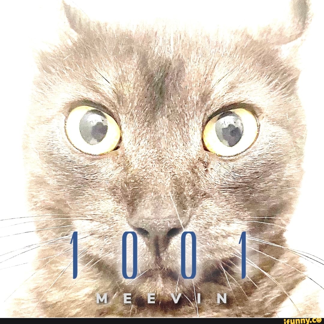 Snowpiercer memes. Best Collection of funny Snowpiercer pictures on iFunny