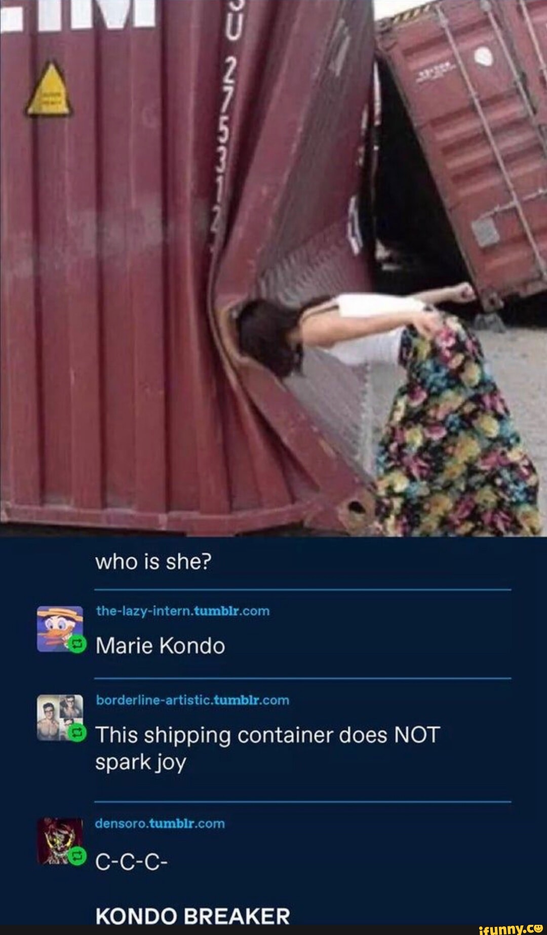 Who is she? Marie Kondo borderline-artistic. This shipping container ...
