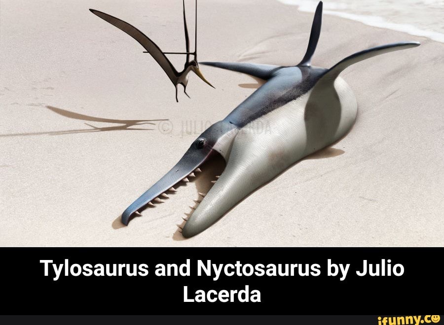 Tylosaurus and Nyctosaurus by Julio Lacerda - Tylosaurus and ...