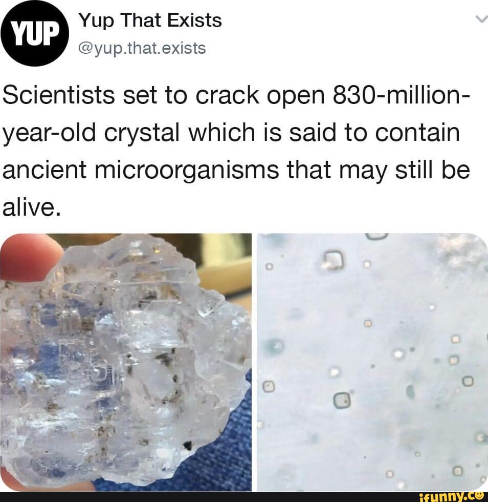 Microorganisms memes. Best Collection of funny Microorganisms pictures ...