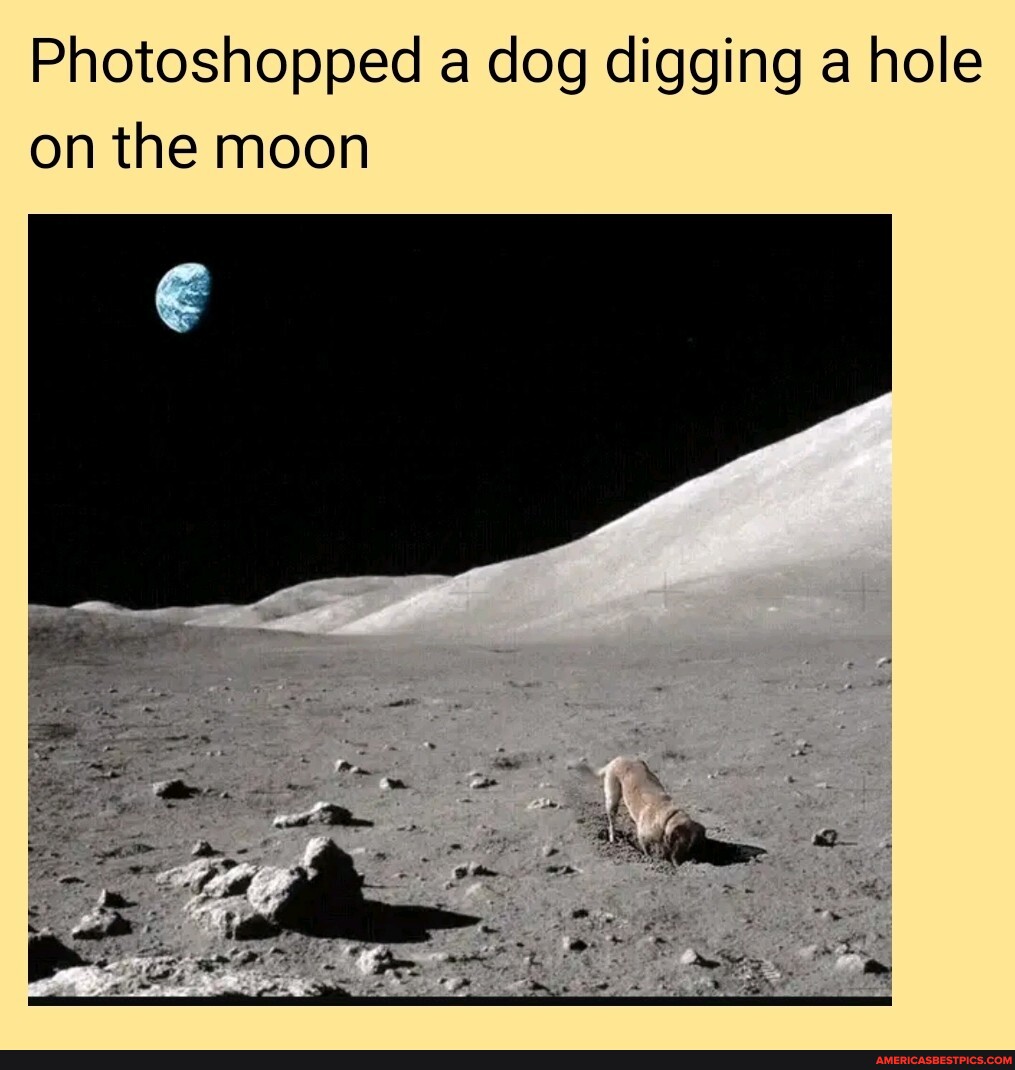 Photoshopped a dog digging a hole on the moon - America’s best pics and ...