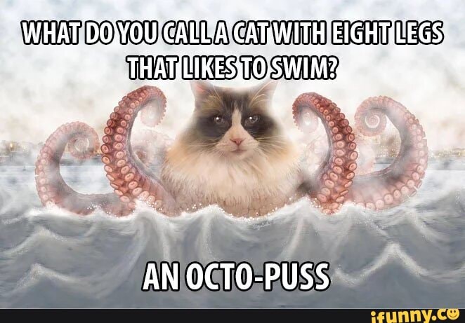 Octo memes. Best Collection of funny Octo pictures on iFunny