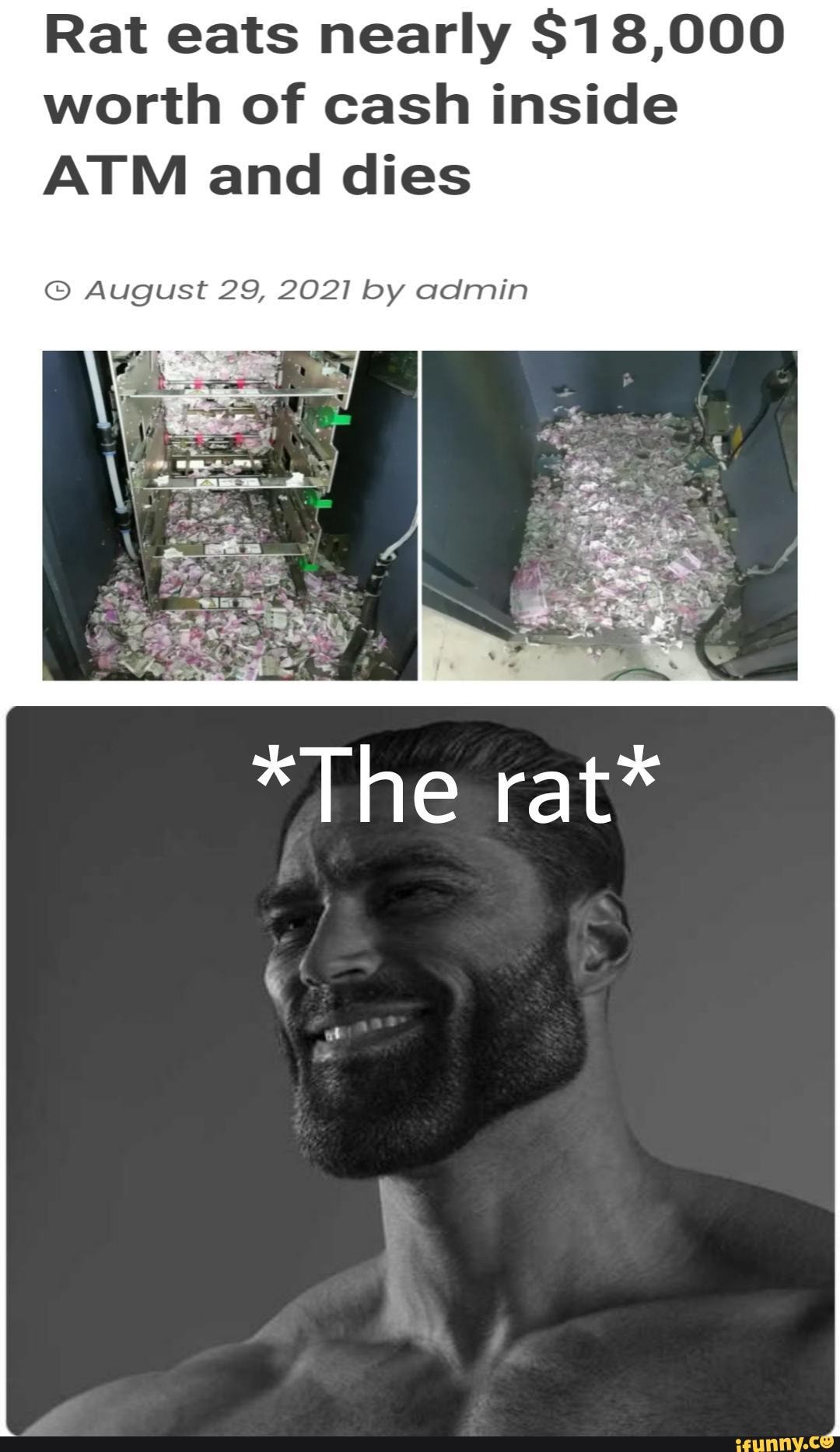 Rat eats nearly $18,000 worth of cash inside ATM and dies August 29 ...