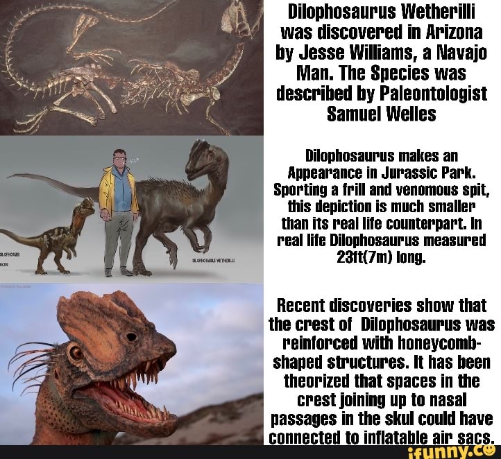 Dilophosaurus Wetherilli was discovered in Arizona by Jesse Williams, a ...