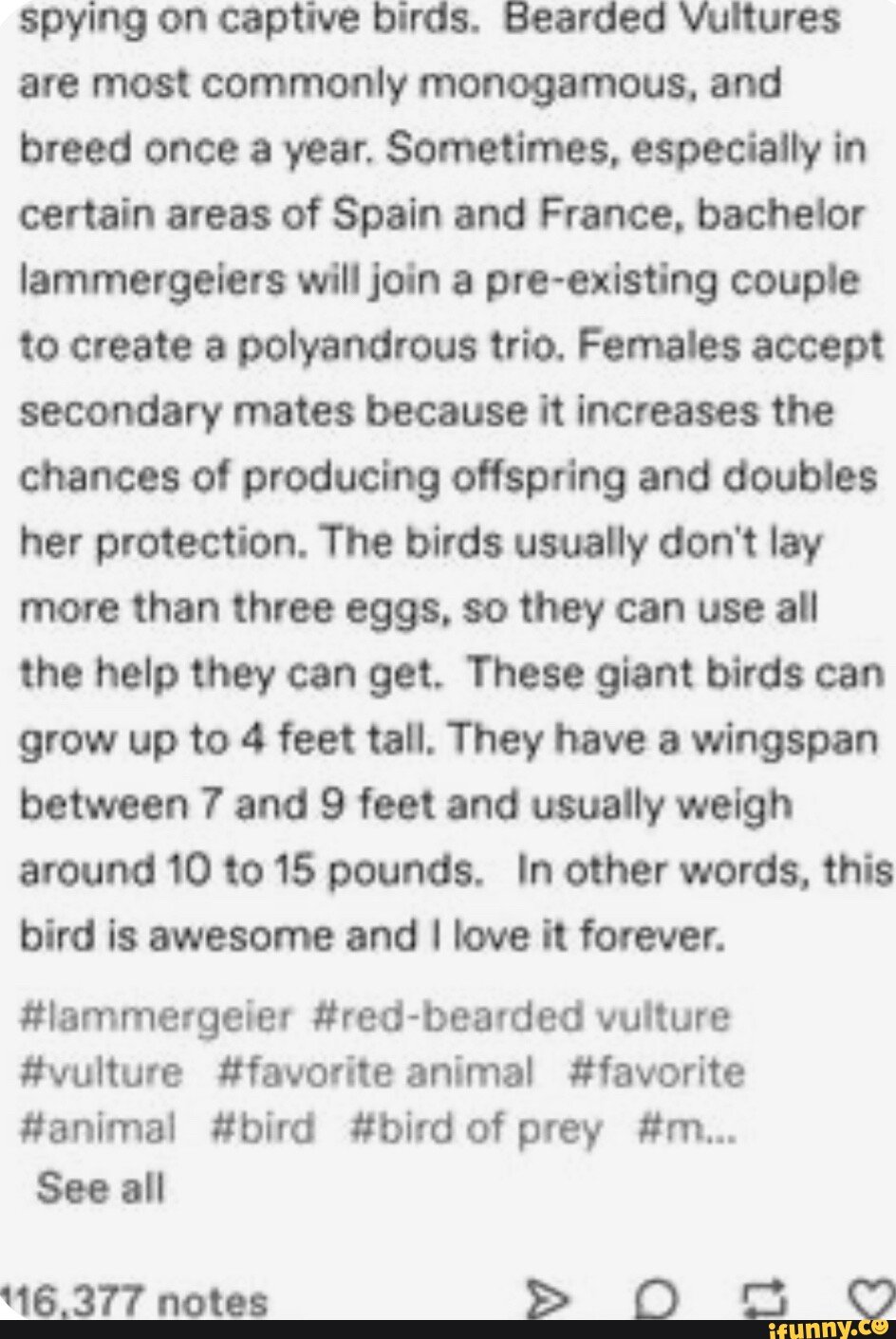Vultures memes. Best Collection of funny Vultures pictures on iFunny