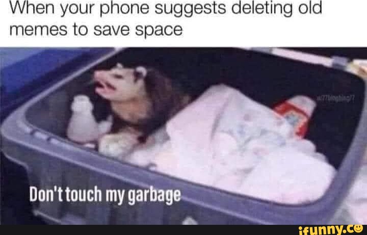 When your phone suggests deleting old memes to save space Don't touch ...