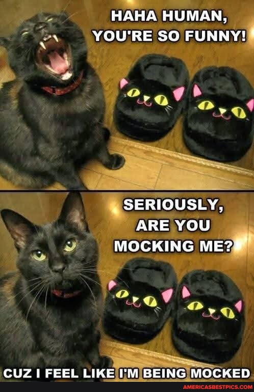 HAHA HUMAN, YOU'RE SO FUNNY! I SERIOUSLY, ARE YOU MOCKING ME?#" CUZ I ...