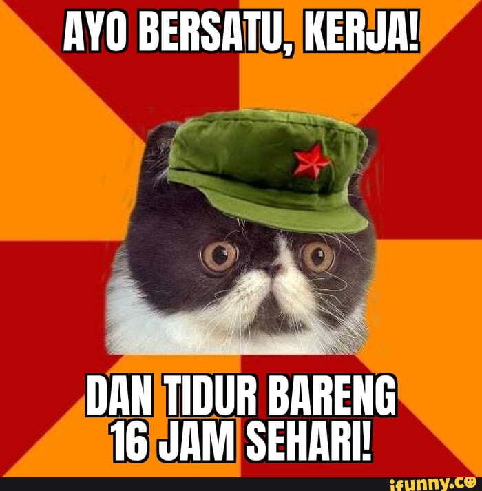 Tapi memes. Best Collection of funny Tapi pictures on iFunny