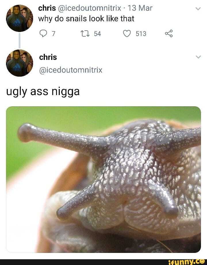 Á 13 Mar v why do snails look like that @icedoutomnitrix ugly ass nigga ...