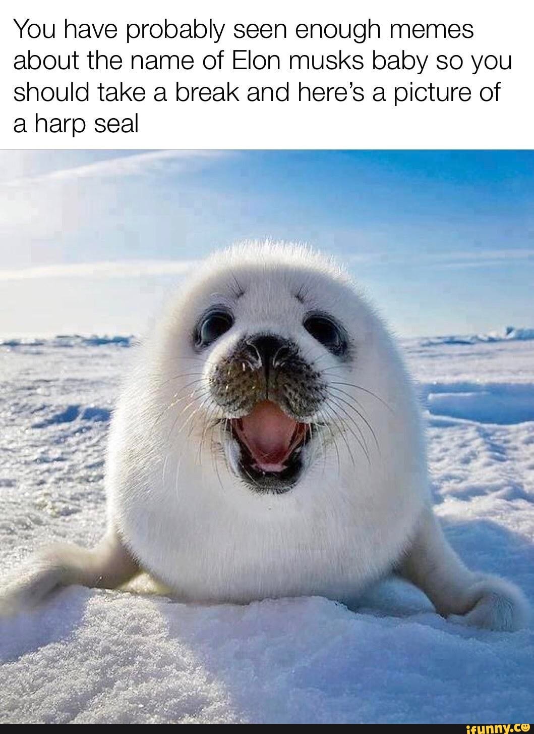 You have probably seen enough memes about the name of Elon musks baby ...