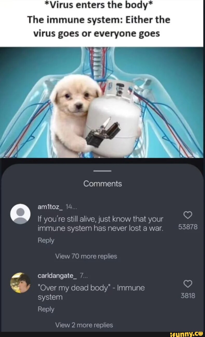 *Virus enters the body* The immune system: Either the virus goes or ...