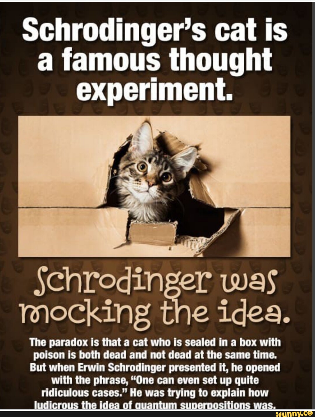 Schrodinger's cat is a famous thought experiment. Schrodinger er was ...