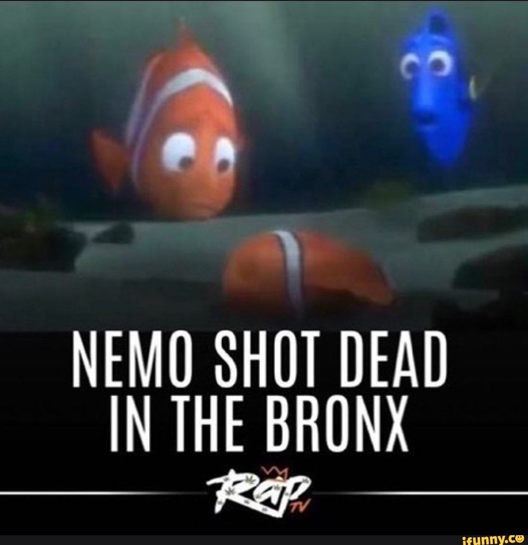 NEMO SHOT DEAD IN THE BRONX - iFunny