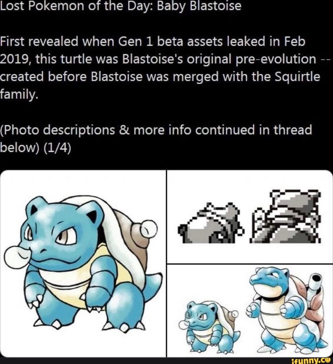 Lost Pokemon of the Day: Baby Blastoise First revealed when Gen 1 beta ...