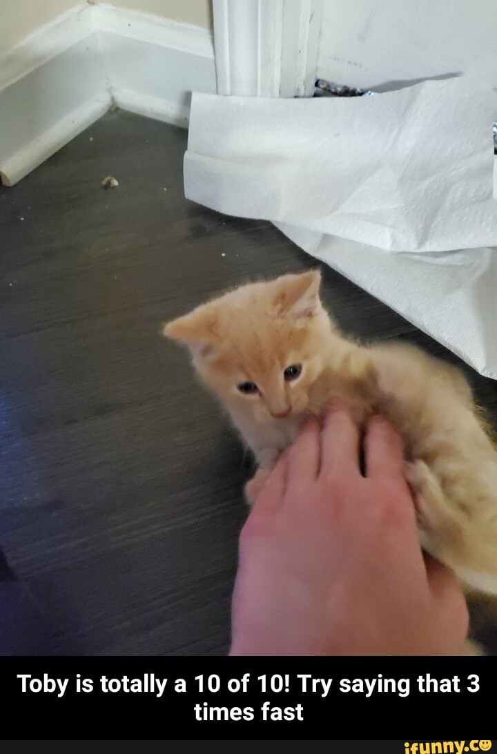 Opas memes. Best Collection of funny Opas pictures on iFunny