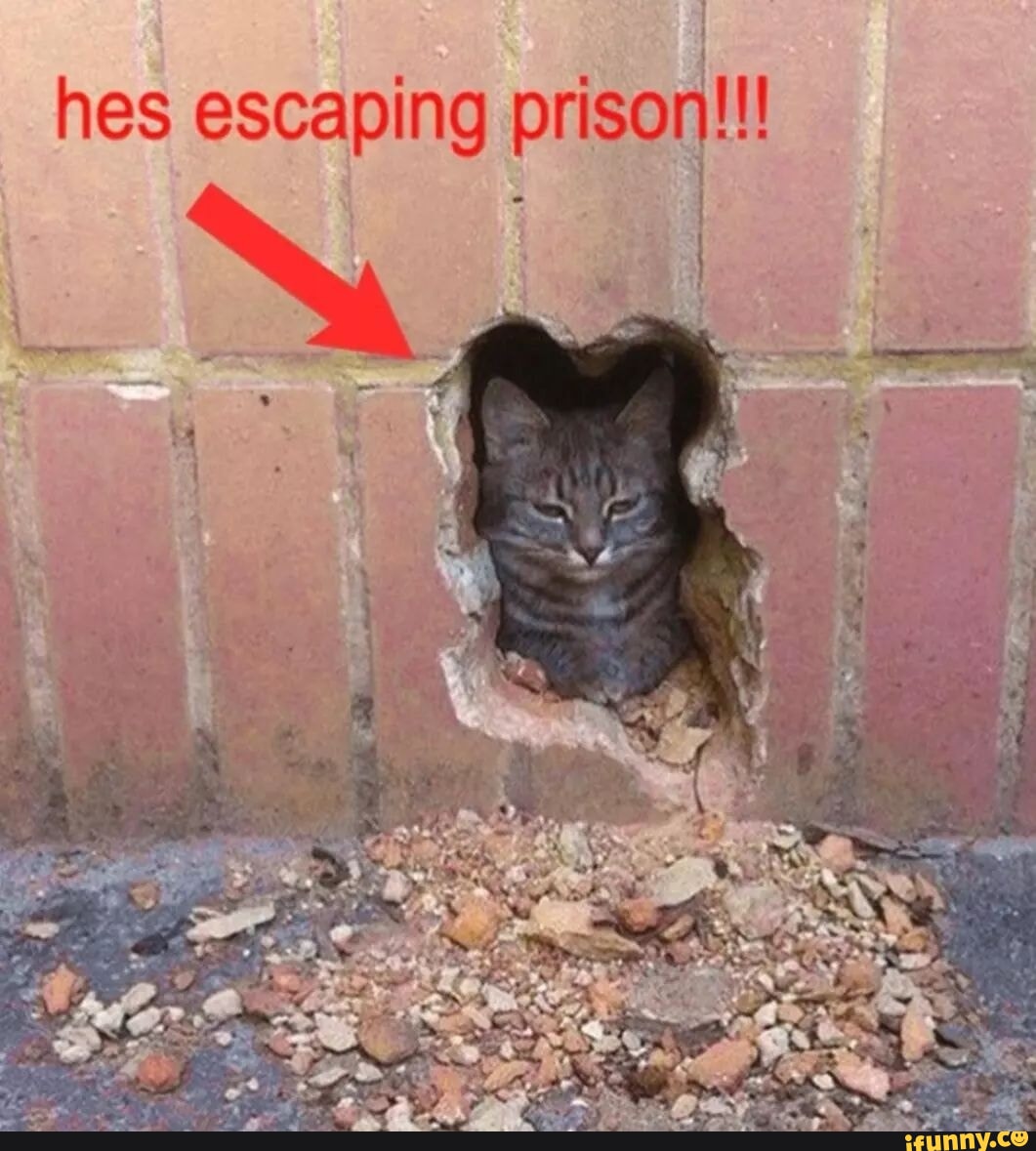 Iso memes. Best Collection of funny Iso pictures on iFunny