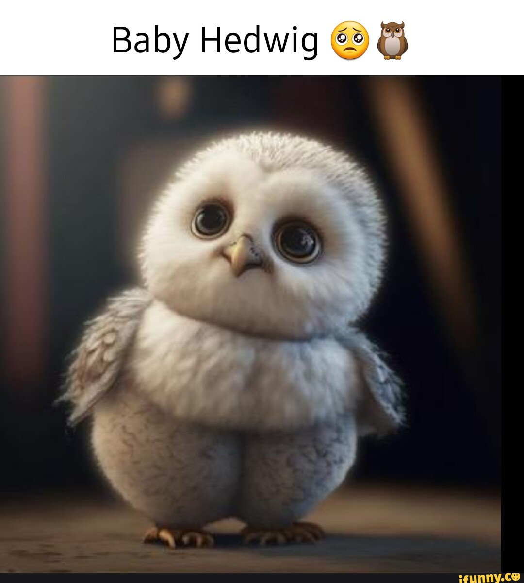 Hedwig memes. Best Collection of funny Hedwig pictures on iFunny