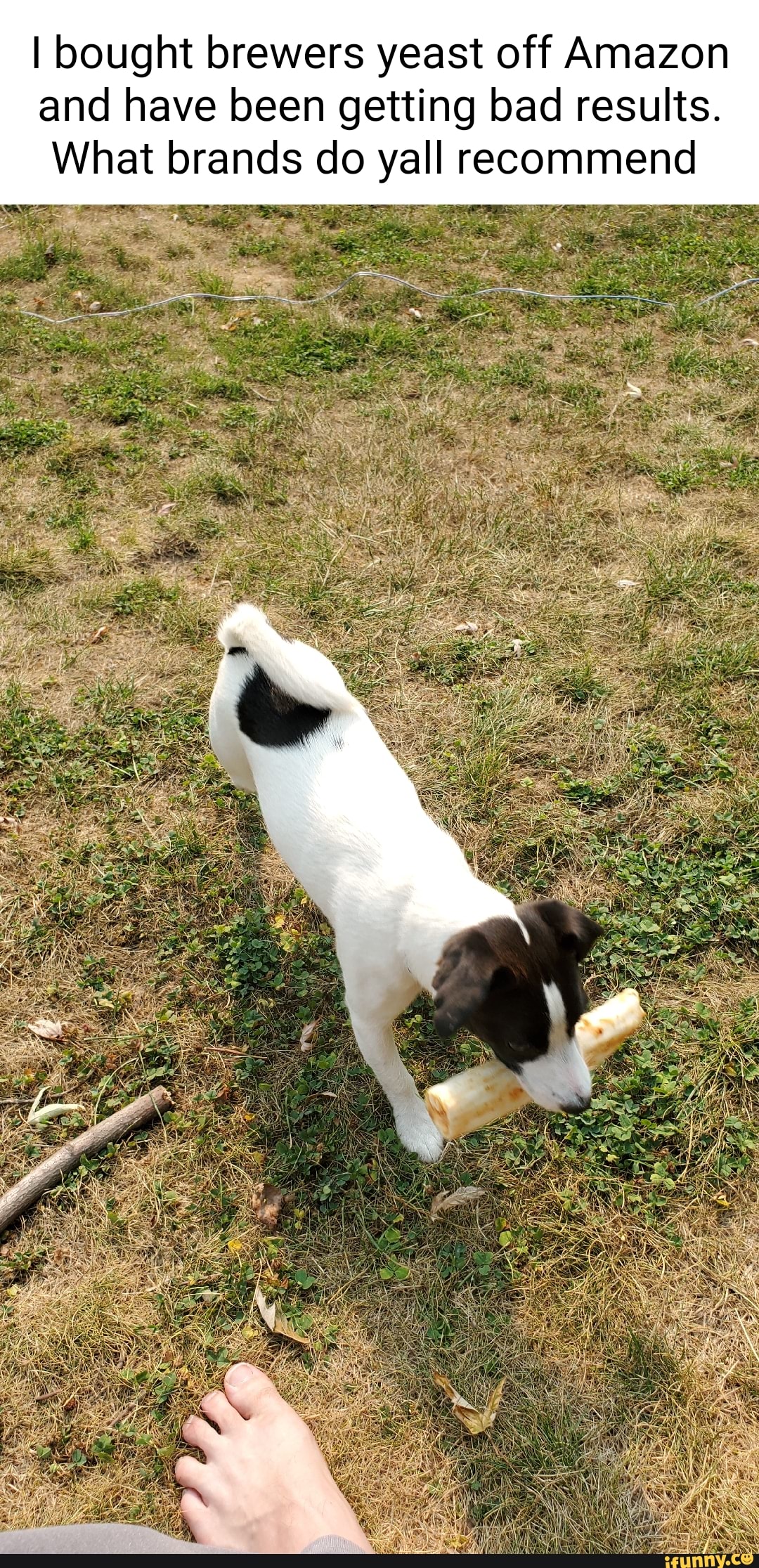 Brands memes. Best Collection of funny Brands pictures on iFunny