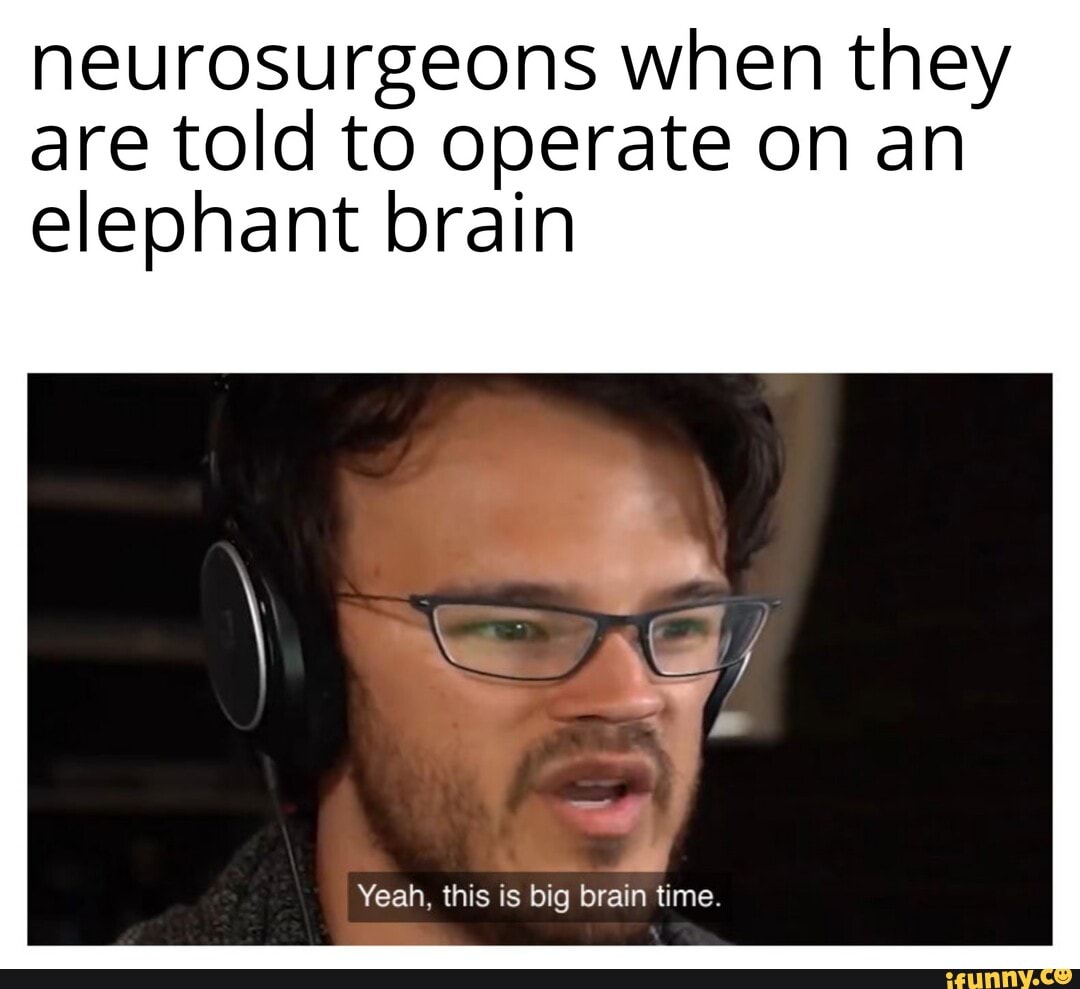 Neurosurgeons when they are told to operate on an elephant brain we ...