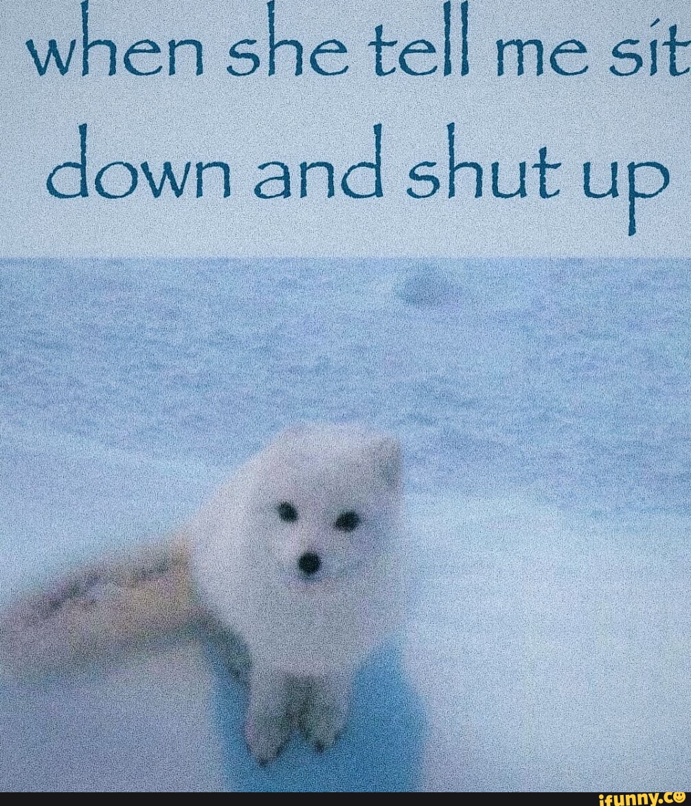 Cat meme - ONE DAY I'LL SHUT UP NOT TODAY THO - iFunny
