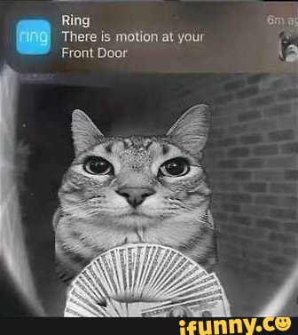 Ringdoorbell memes. Best Collection of funny Ringdoorbell pictures on ...