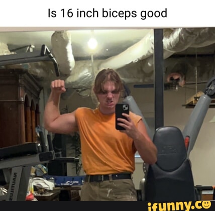 16 Inch Biceps