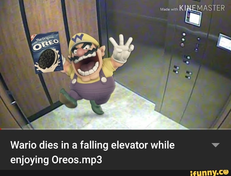 Wario dies in a falling elevator while y enjoying Oreos.mp3 - iFunny