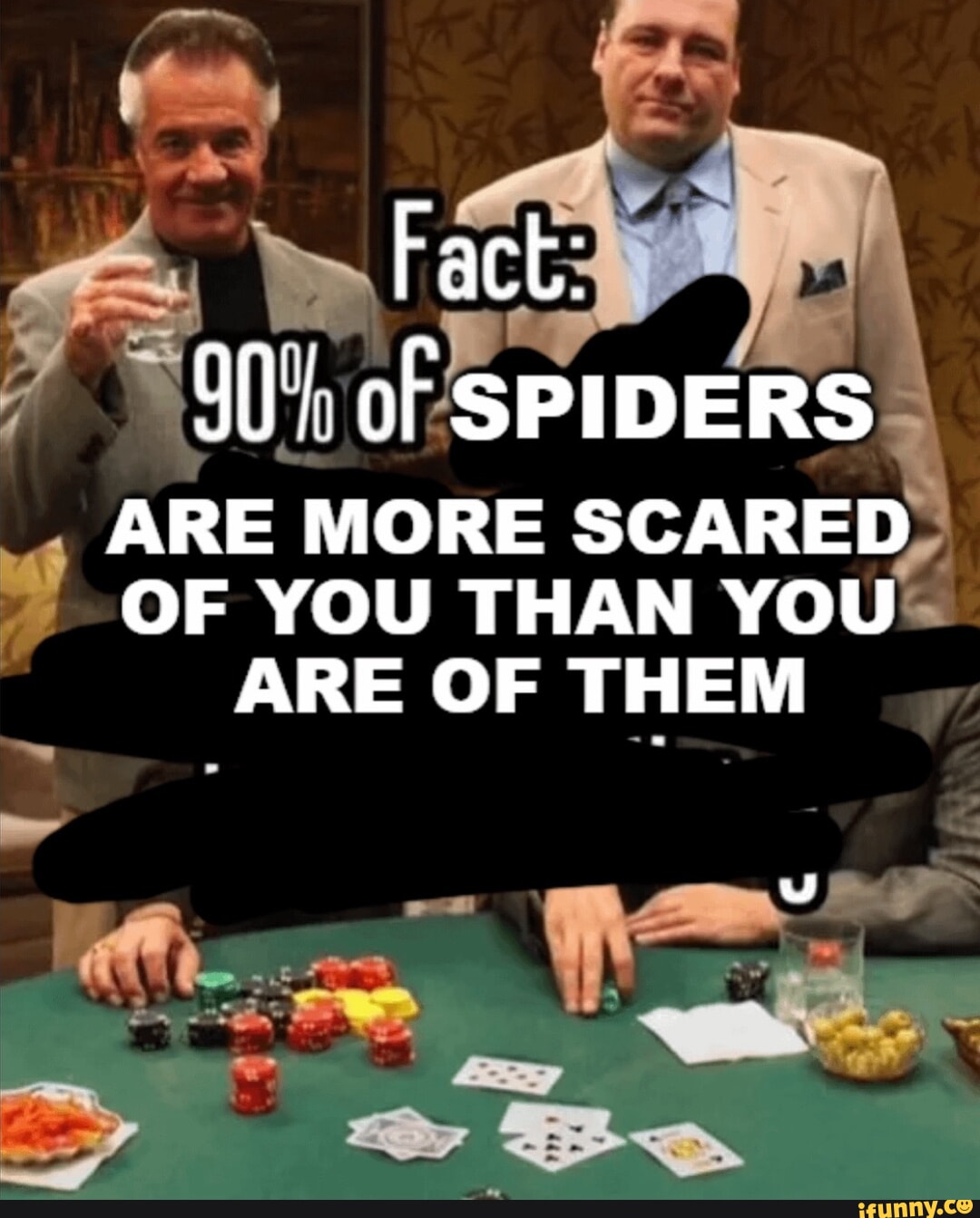 Spiders memes. Best Collection of funny Spiders pictures on iFunny