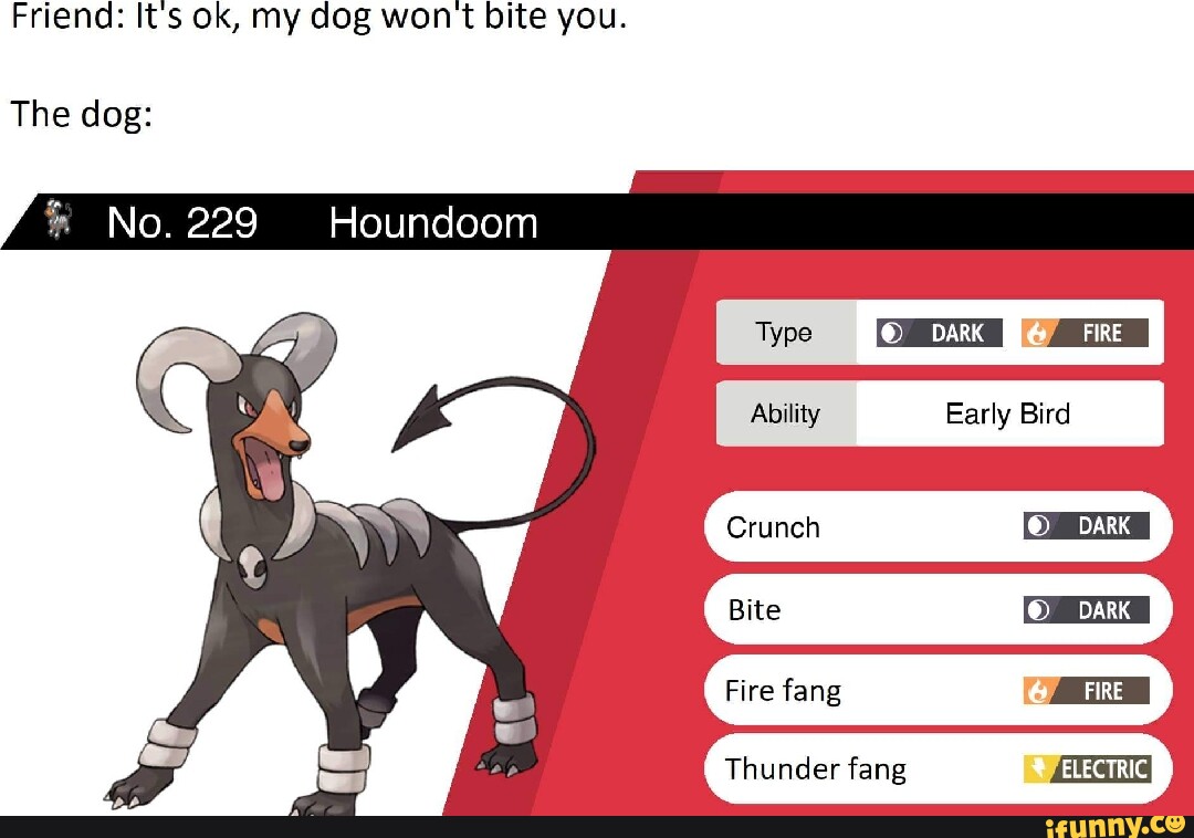 Friend: Its ok, my dog wont bite you. The dog: No. 229 Houndoom FIRE I ...