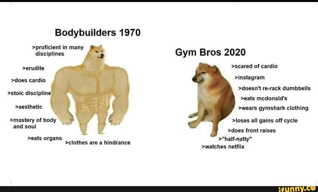 Gymshark memes. Best Collection of funny Gymshark pictures on iFunny