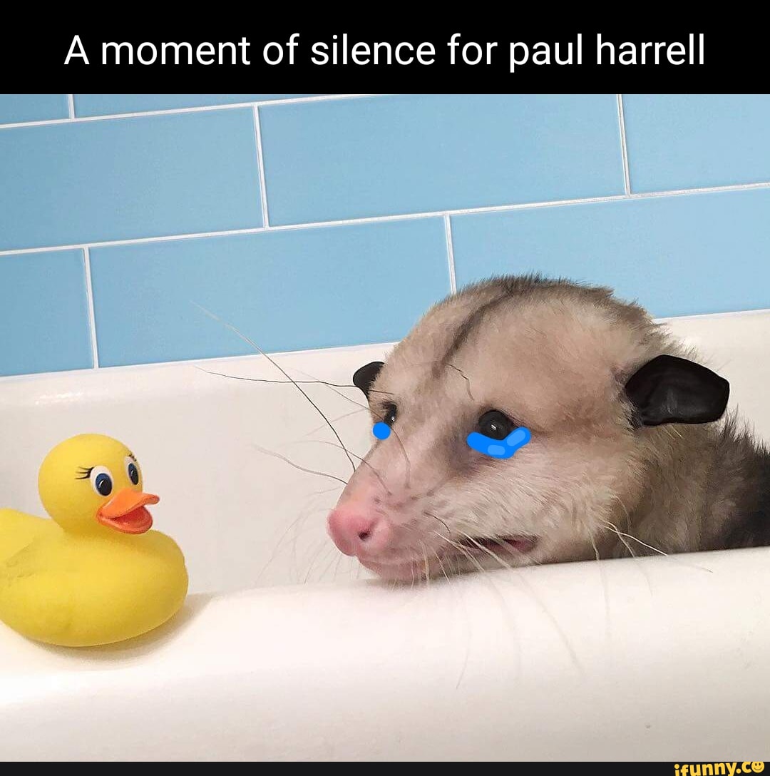 Paulharrell memes. Best Collection of funny Paulharrell pictures on iFunny