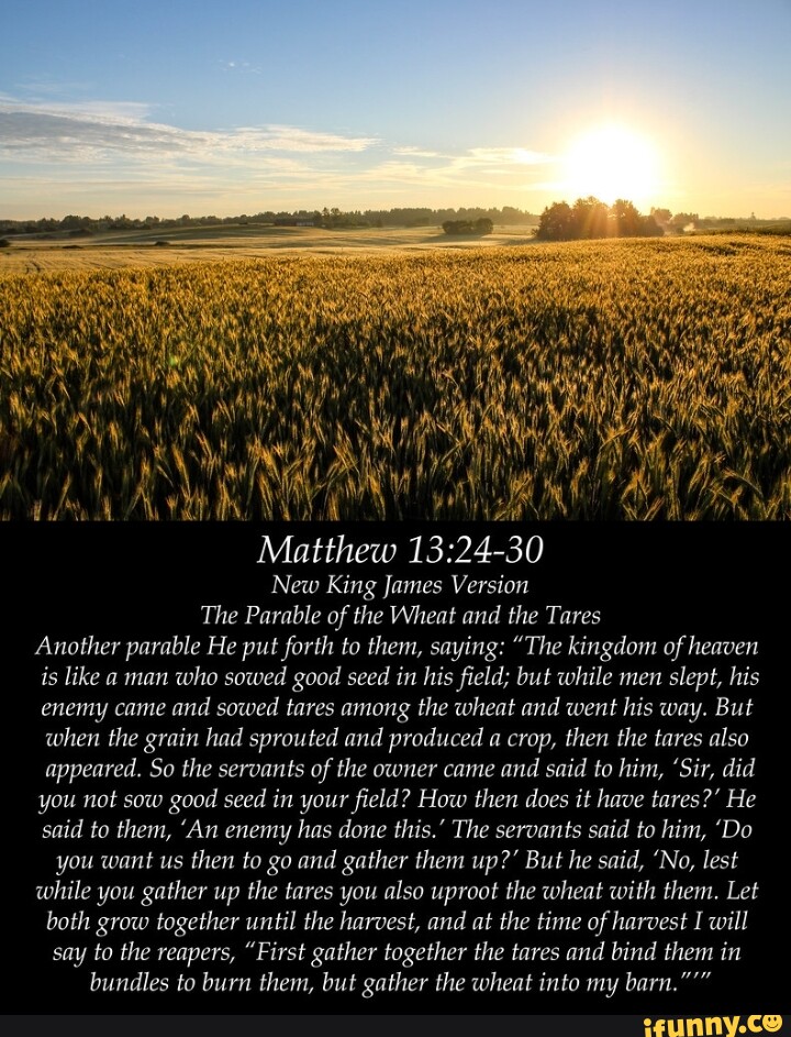 Parable memes. Best Collection of funny Parable pictures on iFunny