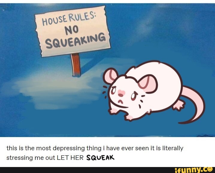 Squeak memes. Best Collection of funny Squeak pictures on iFunny