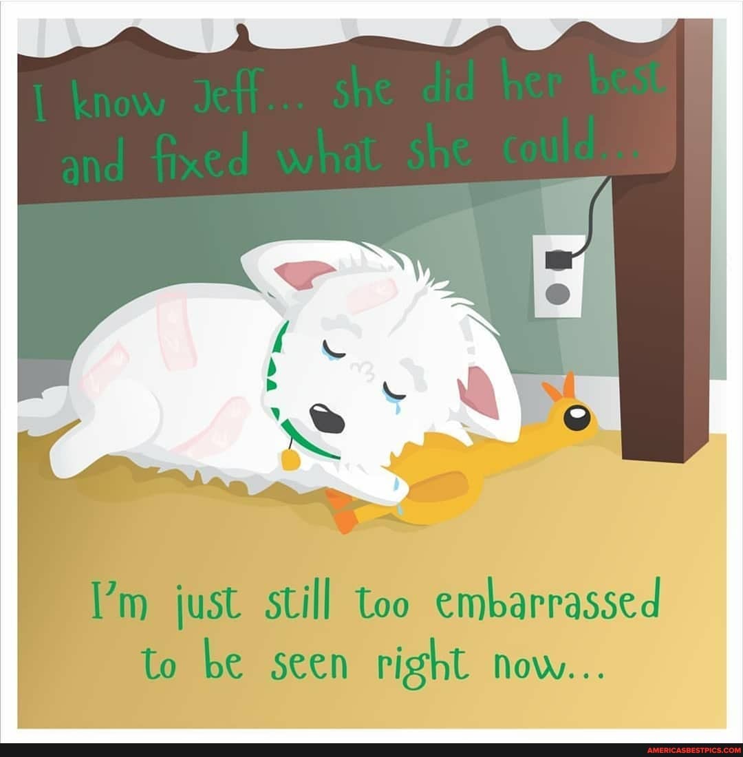 Just still too embarrassed to be seen right now... - America’s best ...