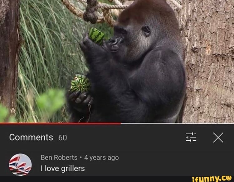 Grillers memes. Best Collection of funny Grillers pictures on iFunny