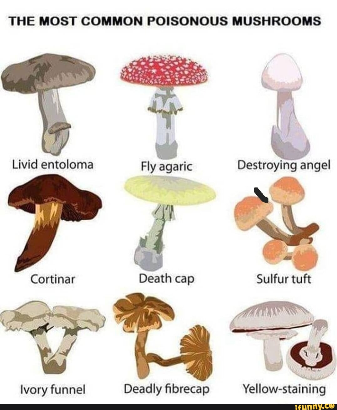 Sulfur memes. Best Collection of funny Sulfur pictures on iFunny