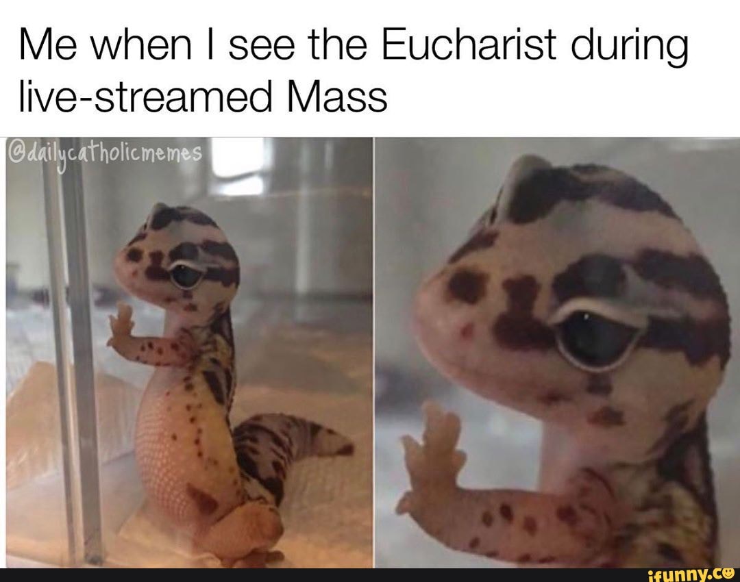 Me when see the Eucharist during live-streamed Mass atholicmemes - iFunny