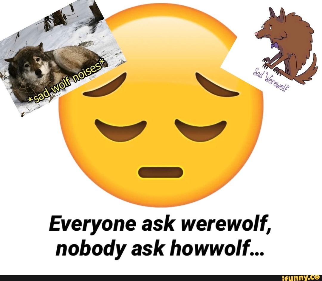 Sadwolf memes. Best Collection of funny Sadwolf pictures on iFunny