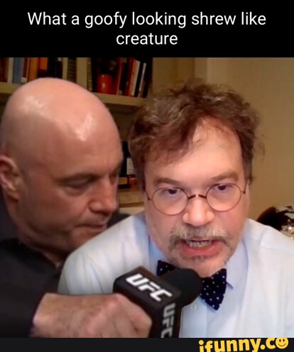 Shrew memes. Best Collection of funny Shrew pictures on iFunny