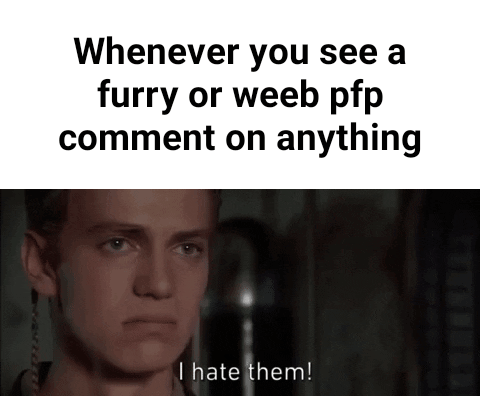 Whenever you see a furry or weeb pfp comment on anything - iFunny