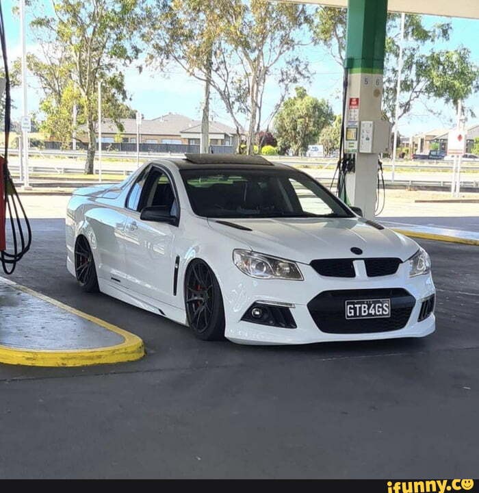 Maloo memes. Best Collection of funny Maloo pictures on iFunny