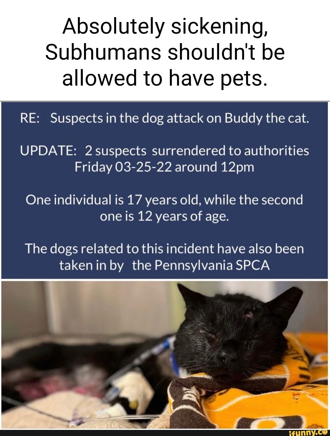 Absolutely sickening, Subhumans shouldn't be allowed to have pets. RE ...